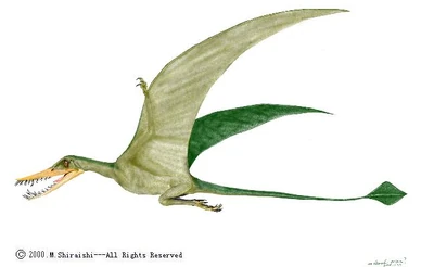 Rhamphocephalus | Wiki Dinosurio | Fandom