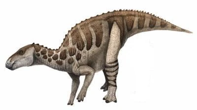 Bactrosaurus | Wiki Dinosurio | Fandom