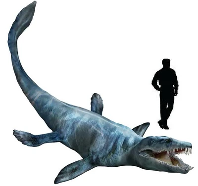 Mosasaurus | Wiki Dinosurio | Fandom