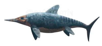 Ichthyosaurus | Wiki Dinosurio | Fandom