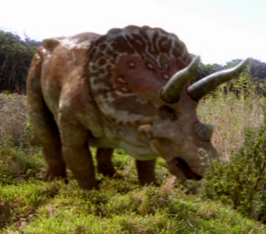 Triceratops | Dinotopia Fanon Wiki | Fandom