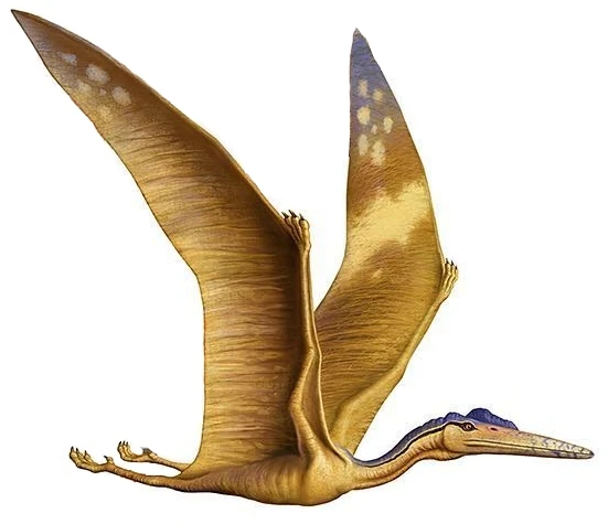 Skybax | Wiki Dinotopia | Fandom