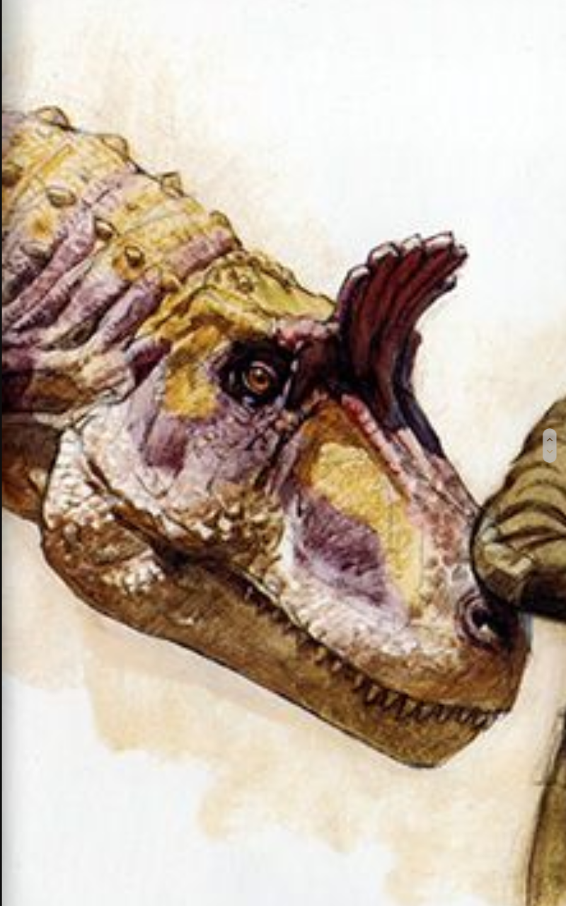 Cryolophosaurus | Dinotopia Wiki | Fandom Cryolophosaurus | Dinotopia Wiki | Fandom