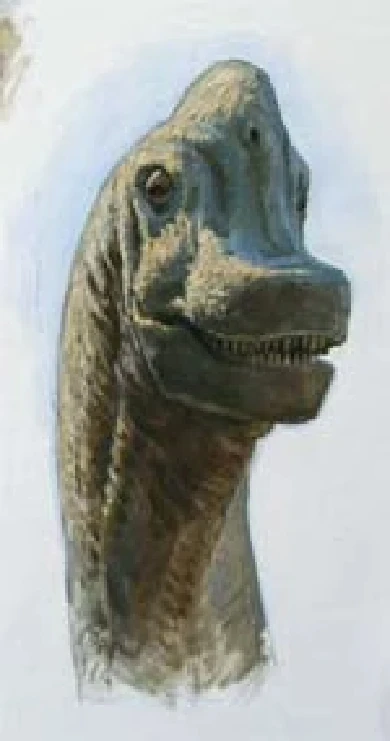 Brachiosaurus | Dinotopia Wiki | Fandom