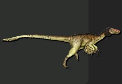 Adasaurus | Dino Wiki | Fandom