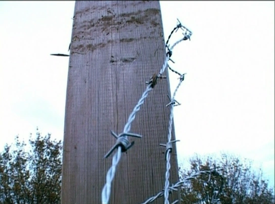 Barbed wire whip | Dirty Sanchez Wikia | Fandom