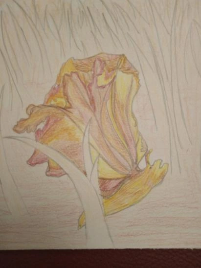 Fée rouge | Wiki Dibistan | Fandom