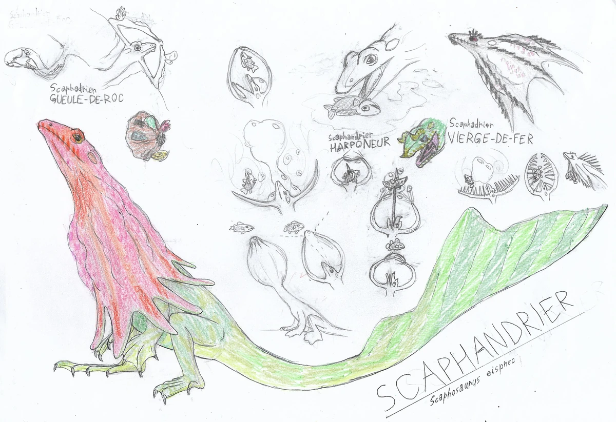 Scaphandrier Commun | Wiki Dibistan | Fandom