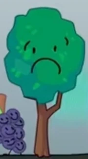 Spruce Tree | Disabled Characters Wiki | Fandom