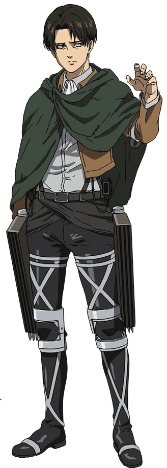 Levi Ackerman | Disabled Characters Wiki | Fandom