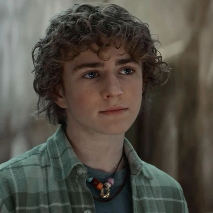 Percy Jackson (TV) | Disabled Characters Wiki | Fandom