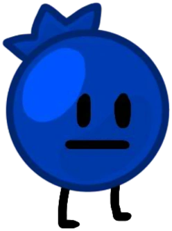 Blueberry | Disabled Characters Wiki | Fandom