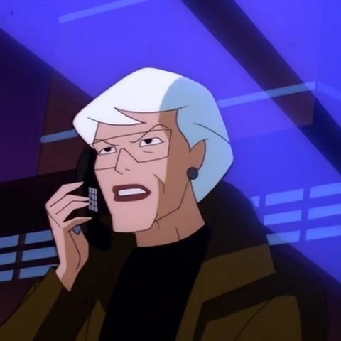 Barbara Gordon (DCAU) | Disabled Characters Wiki | Fandom