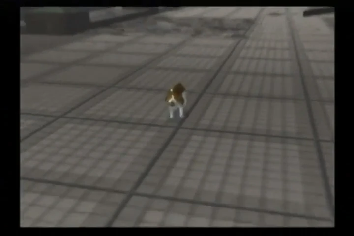 The Dog | Disaster Report Wiki | Fandom