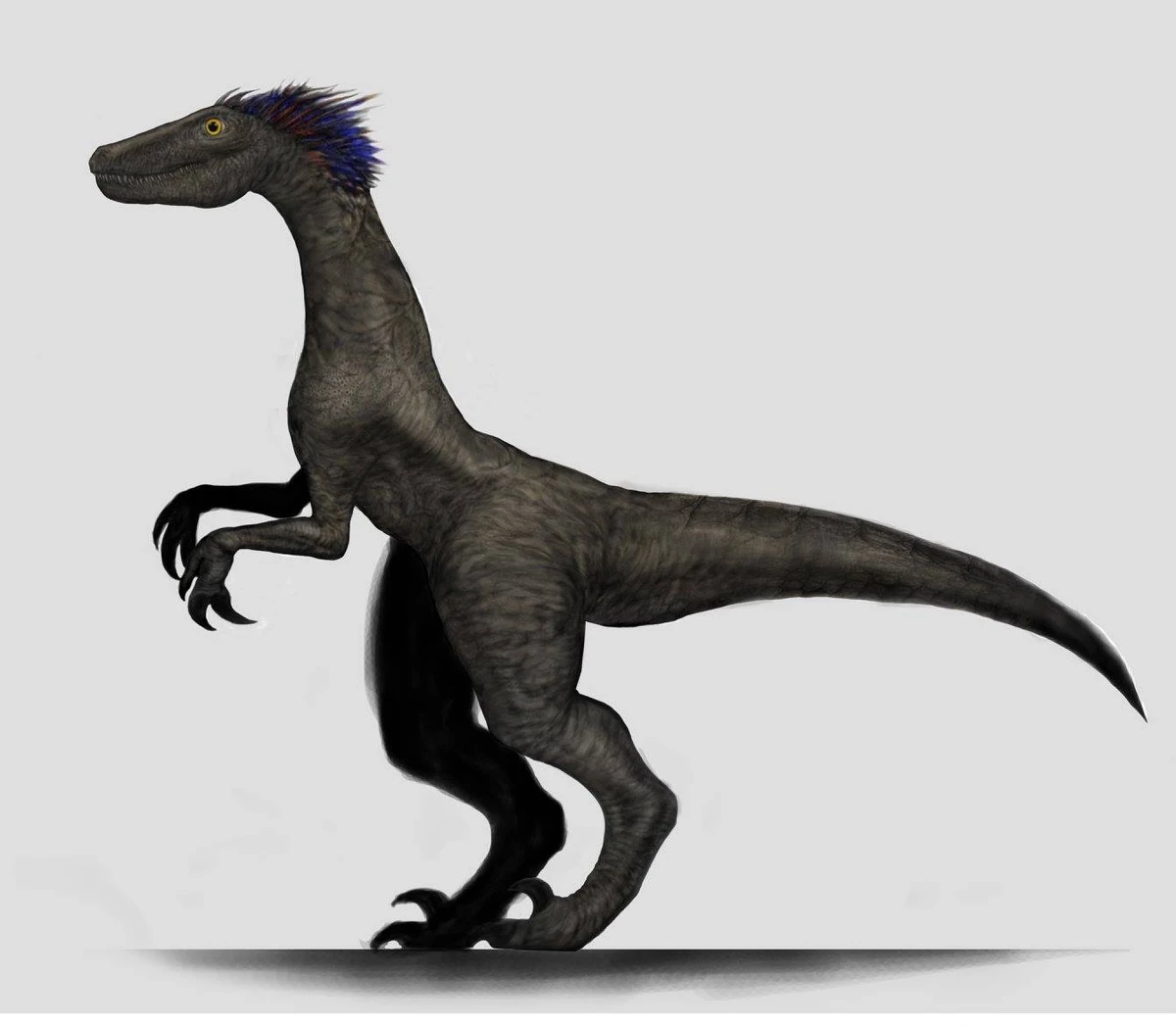 Raptors | Disclosure Wikia | Fandom