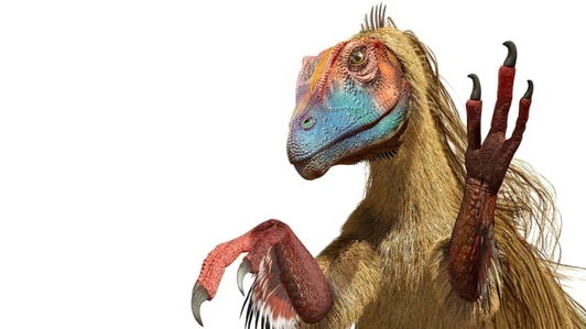 Disco Dino | Disco Dino Wiki | Fandom