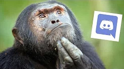 Le devoir de philo | Wiki Discord de RaAaK | Fandom