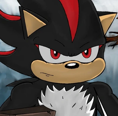 Shadow (Tails Gets Trolled) | DS Wiki | Fandom