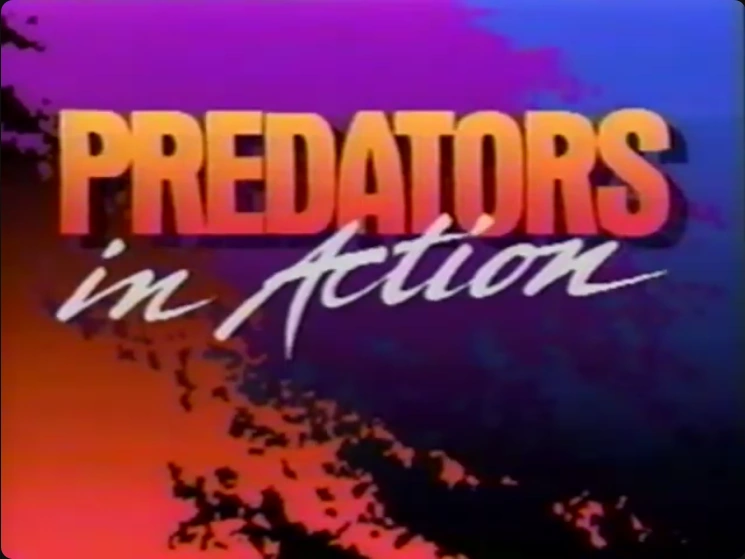 Predators in Action | Discovery, Inc Wiki | Fandom
