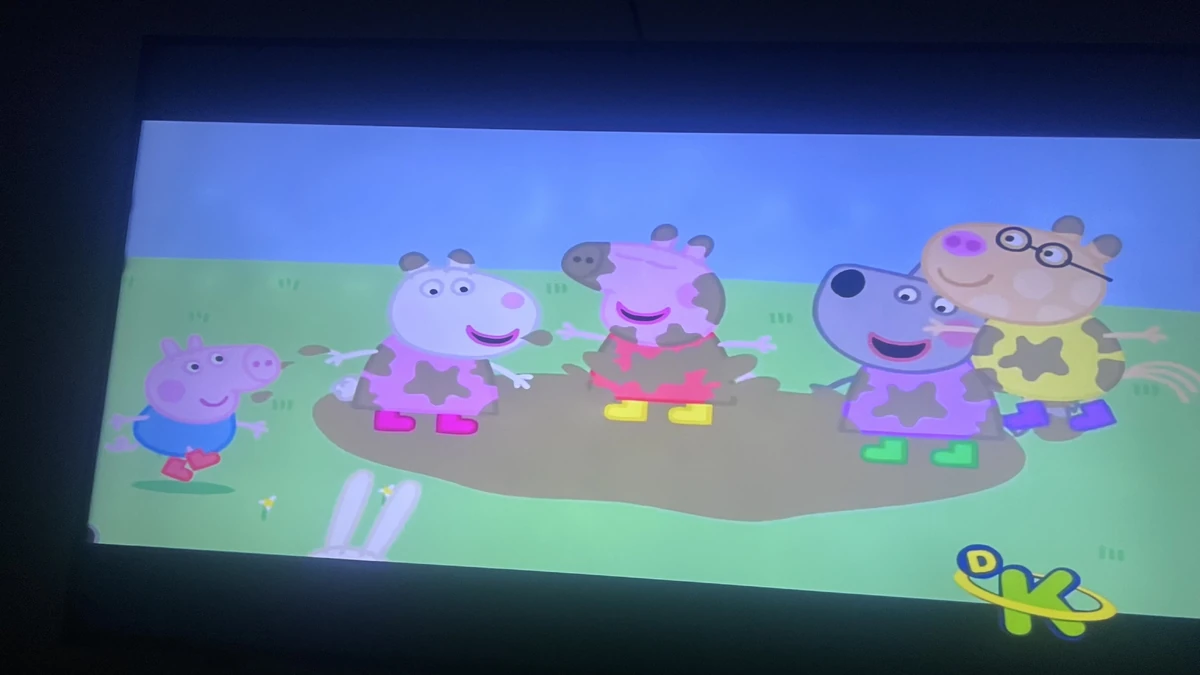 Enero 5, 2016/México | Wiki Discovery Kids Archives | Fandom