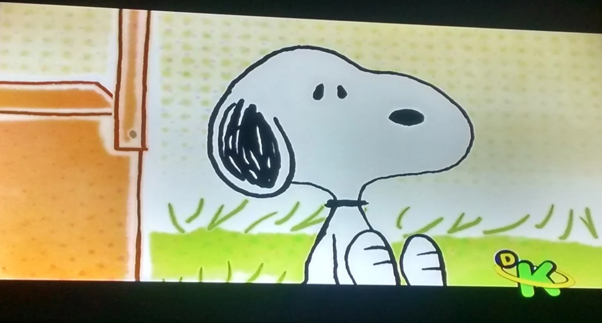 Febrero 26, 2016/Colombia | Wiki Discovery Kids Archives | Fandom