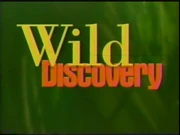 Wild Discovery | Discovery Channel Wiki | Fandom