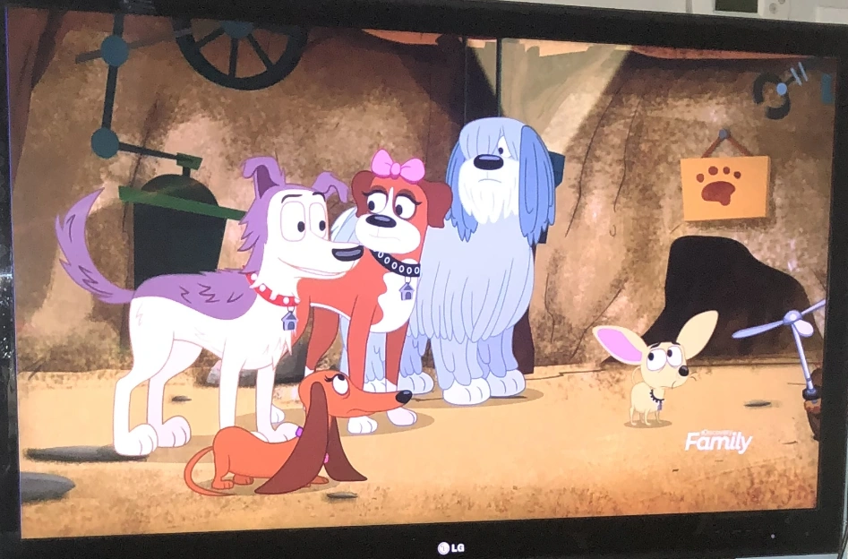 March 9, 2022 | Discovery Family Schedule Archives Wiki | Fandom