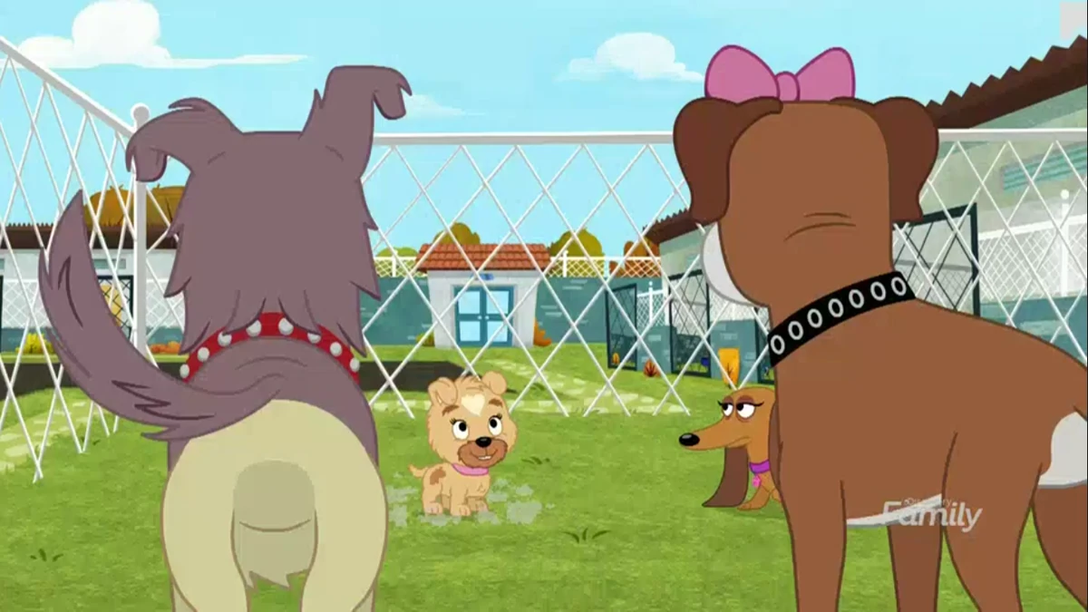 March 1, 2024 | Discovery Family Schedule Archives Wiki | Fandom