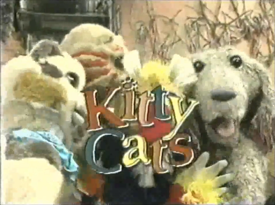 Kitty Cats | Discovery Family Schedule Archives Wiki | Fandom
