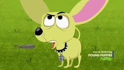 May 31, 2022 | Discovery Family Schedule Archives Wiki | Fandom