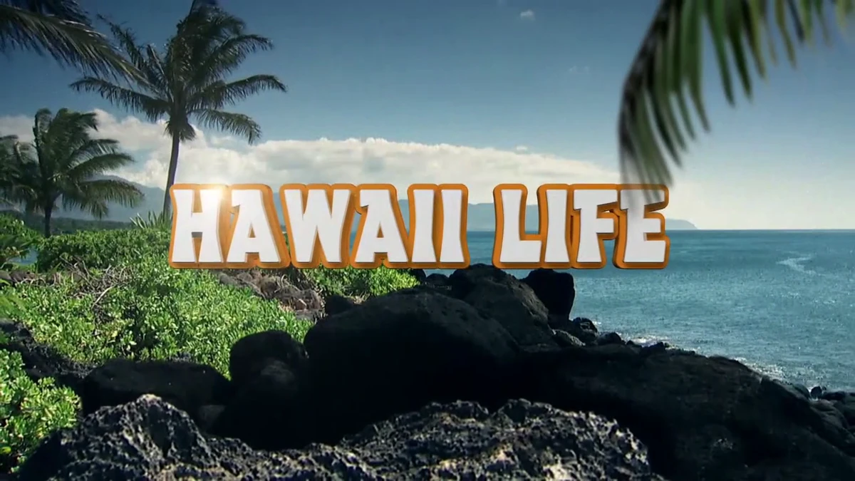 Hawaii Life | Discovery Family Schedule Archives Wiki | Fandom