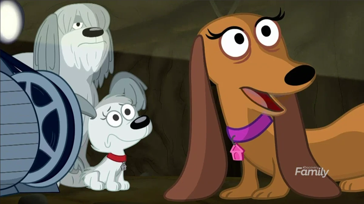 February 14, 2024 | Discovery Family Schedule Archives Wiki | Fandom