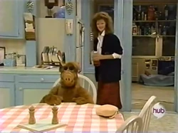 July 29, 2013 | Discovery Family Schedule Archives Wiki | Fandom