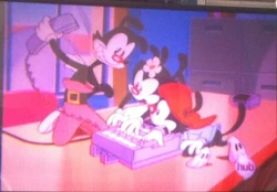 August 30, 2013 | Discovery Family Schedule Archives Wiki | Fandom