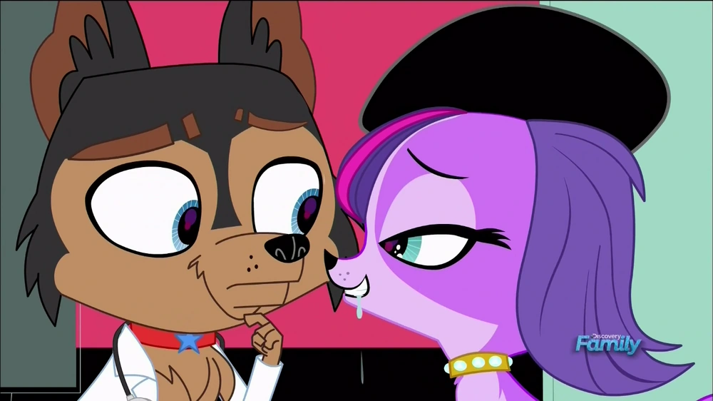 December 26, 2015 | Discovery Family Schedule Archives Wiki | Fandom