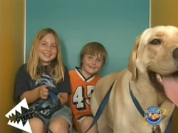 Chomp Chat | Discovery Family Schedule Archives Wiki | Fandom