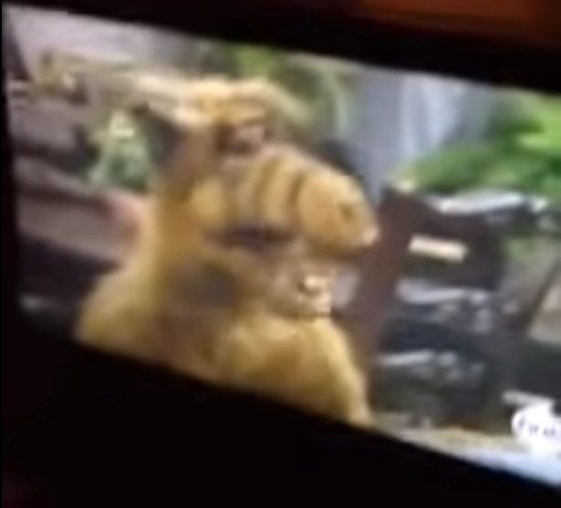 February 21, 2013 | Discovery Family Schedule Archives Wiki | Fandom