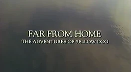 Far from Home: The Adventures of Yellow Dog (1995) | Discovery Family ...