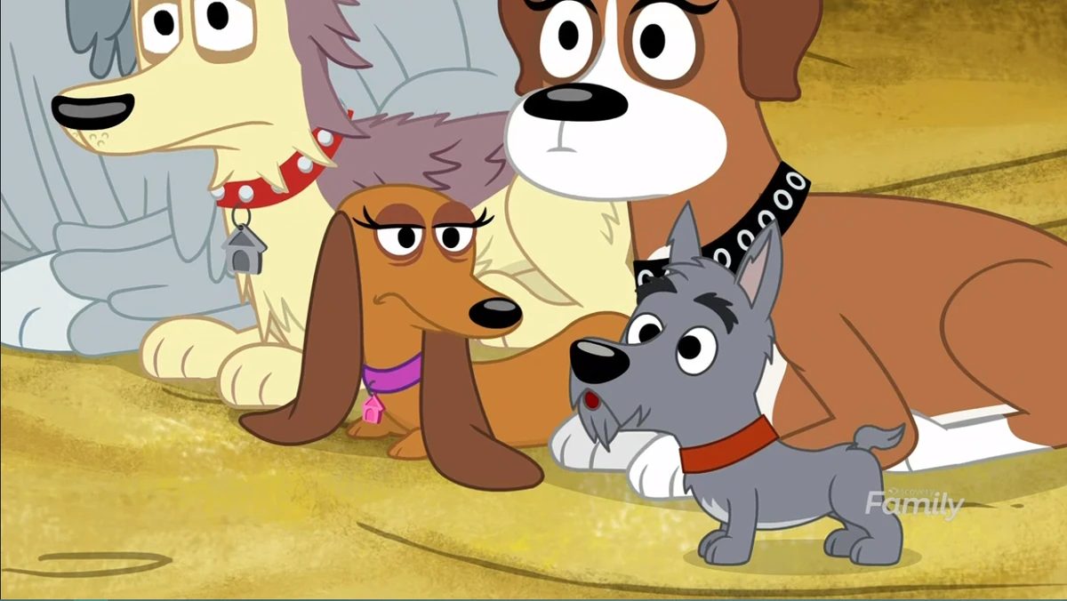 March 13, 2024 | Discovery Family Schedule Archives Wiki | Fandom