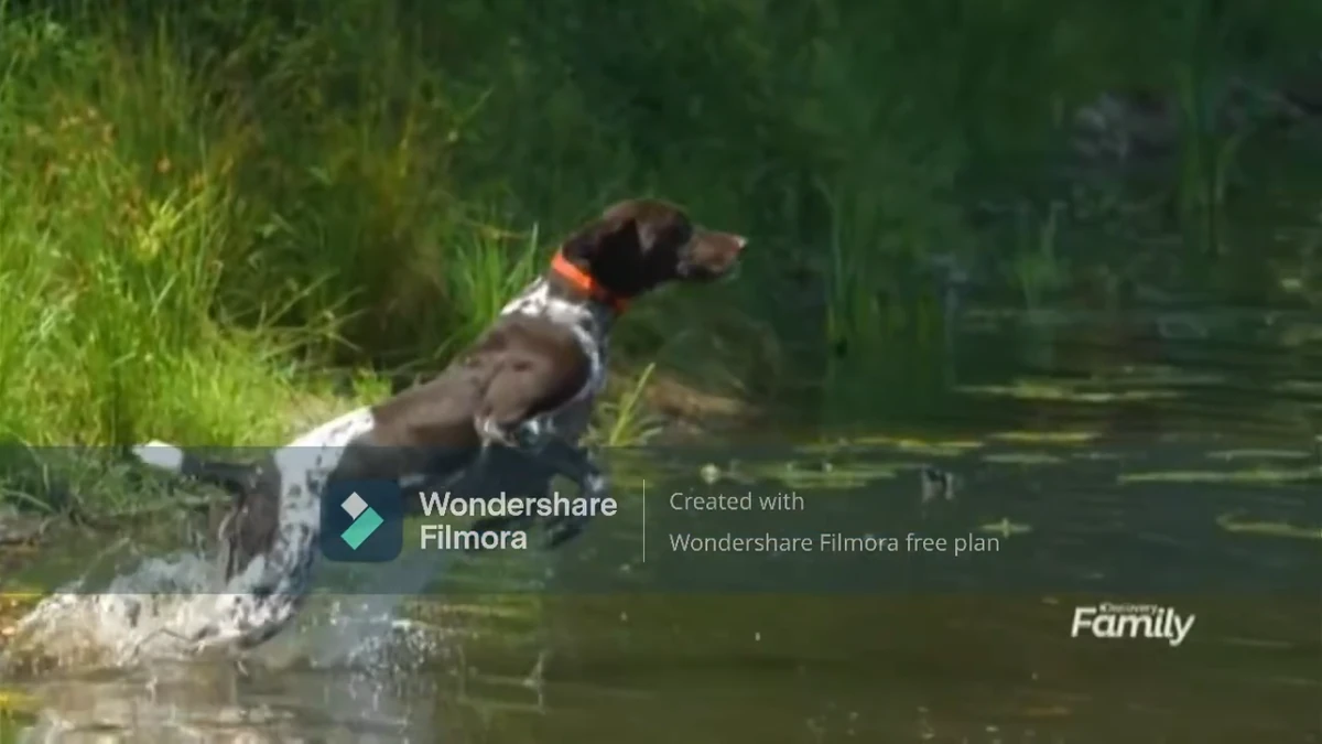 July 20, 2021 | Discovery Family Schedule Archives Wiki | Fandom