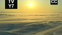 TV Ratings | Discovery Family Schedule Archives Wiki | Fandom