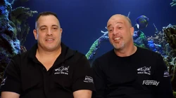 July 28, 2024 | Discovery Family Schedule Archives Wiki | Fandom