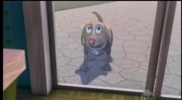 Hub Screenbugs | Discovery Family Schedule Archives Wiki | Fandom