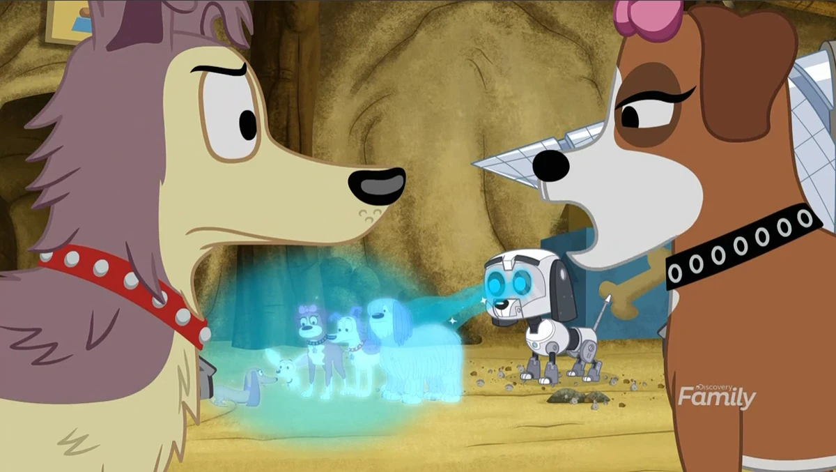 February 20, 2024 | Discovery Family Schedule Archives Wiki | Fandom