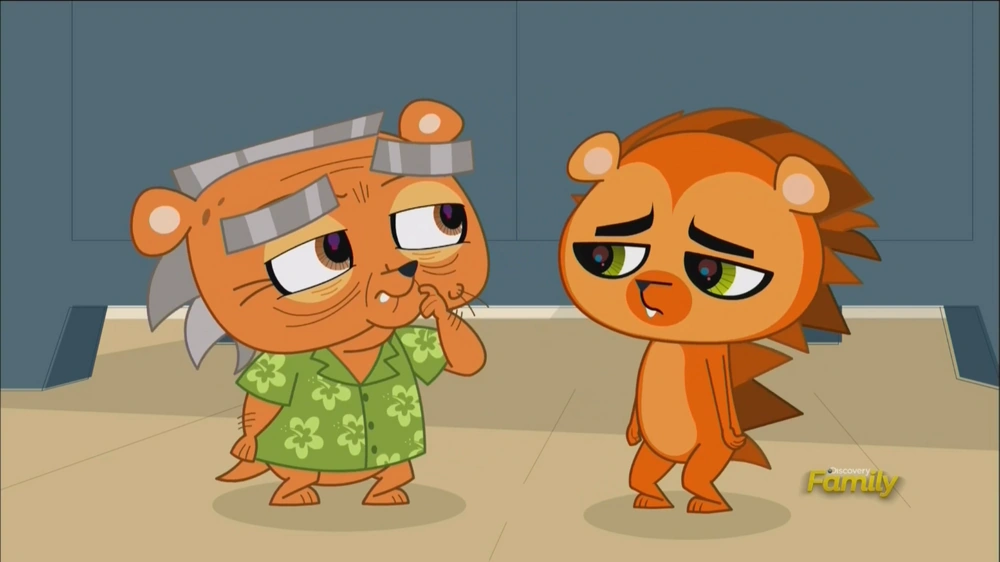 November 21, 2015 | Discovery Family Schedule Archives Wiki | Fandom