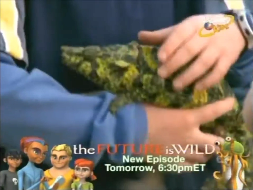 March 14, 2008 | Discovery Family Schedule Archives Wiki | Fandom