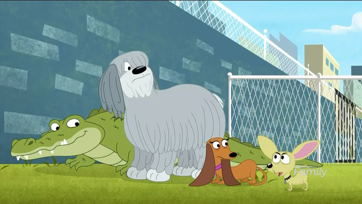 February 21, 2024 | Discovery Family Schedule Archives Wiki | Fandom