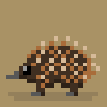 Category:Outback Animals | Disco Zoo Wiki | Fandom