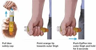 Epi-Pen | Disease Wiki | Fandom