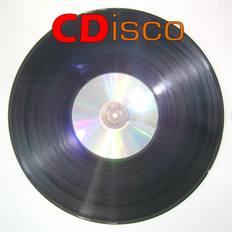 CDisco | Dish Carpens Wiki | Fandom